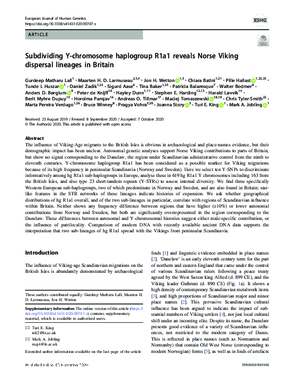 (PDF) Subdividing Y-chromosome haplogroup R1a1 reveals Norse Viking ...