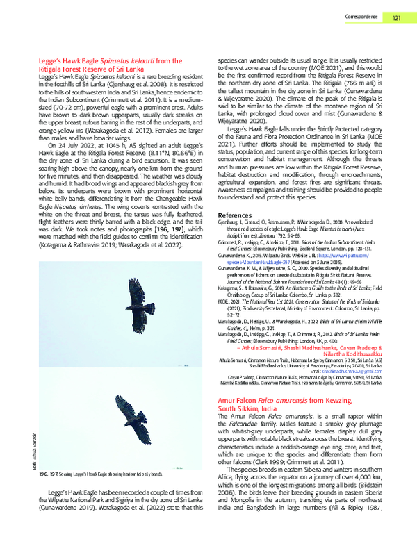(PDF) Legge’s Hawk Eagle Spizaetus kelaarti from the Ritigala Forest ...