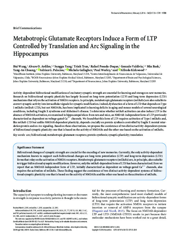 (PDF) Metabotropic Glutamate Receptors Induce a Form of LTP Controlled ...