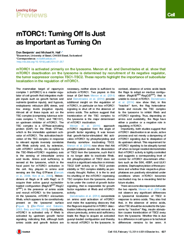 (PDF) mTORC1: Turning Off Is Just as Important as Turning On