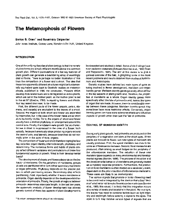 (PDF) The Metamorphosis of Flowers