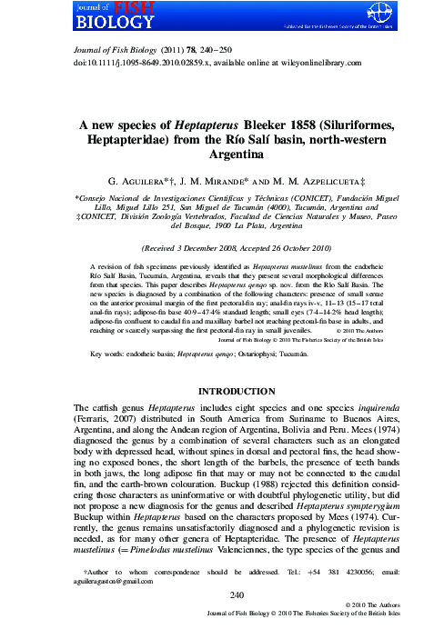 (PDF) A new species of Heptapterus Bleeker 1858 (Siluriformes ...