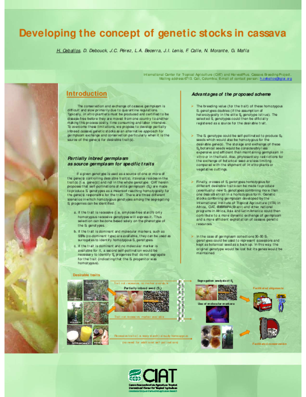 (PDF) Developing the concept of genetic stocks in cassava [poster] [on ...