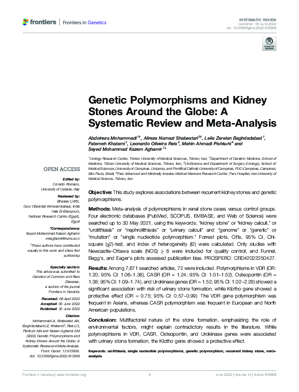 (PDF) Genetic Polymorphisms and Kidney Stones Around the Globe: A ...