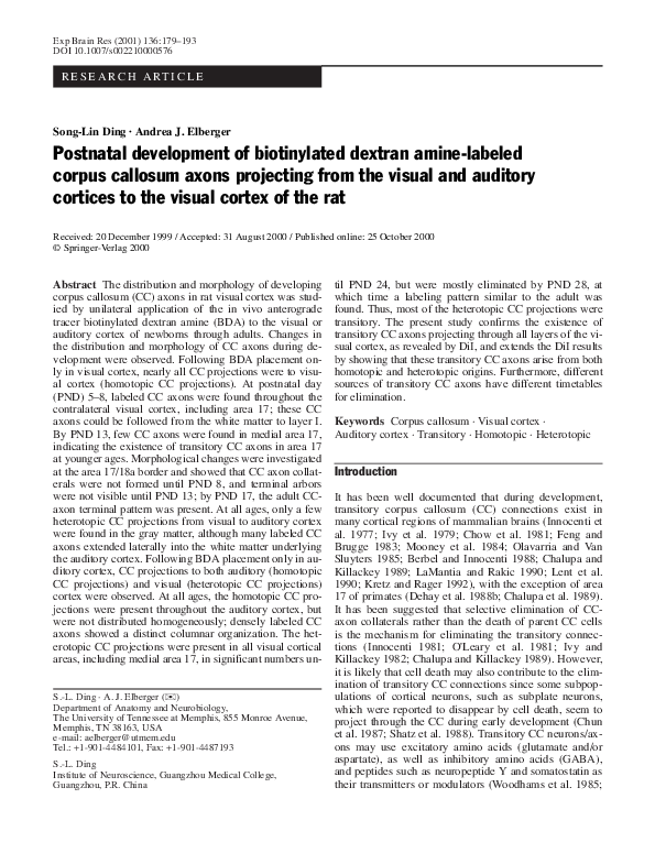 (PDF) Postnatal development of biotinylated dextran amine-labeled ...