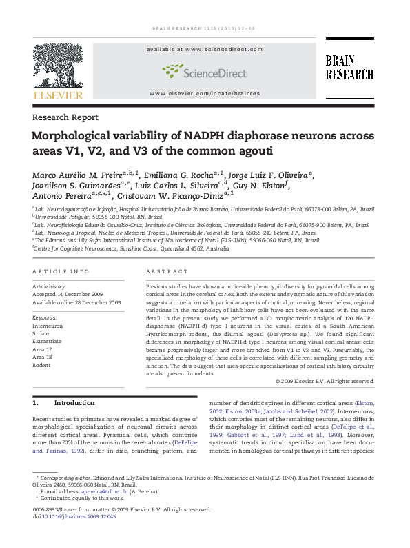(PDF) Morphological variability of NADPH diaphorase neurons across ...