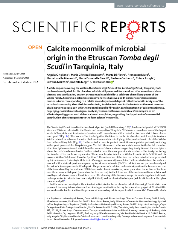 (PDF) Calcite moonmilk of microbial origin in the Etruscan Tomba degli ...
