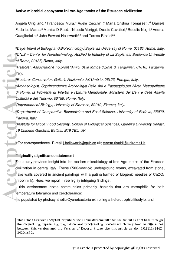 (PDF) Active microbial ecosystem in Iron‐Age tombs of the Etruscan ...