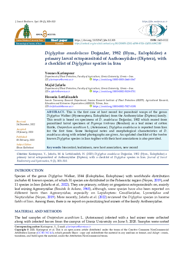(PDF) Diglyphus anadolucus Doğanlar, 1982 (Hym., Eulophidae) a primary ...