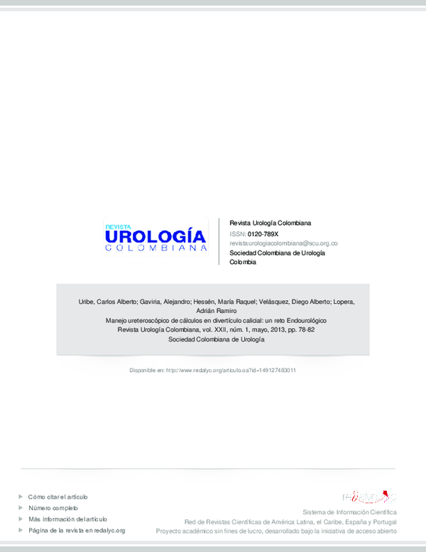 (PDF) Manejo ureteroscópico de cálculos en divertículo calicial: un ...