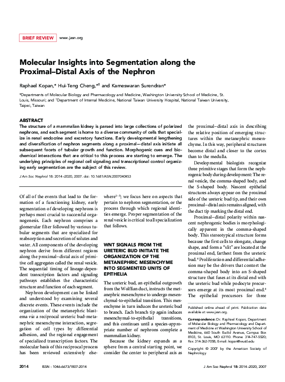 (PDF) Molecular Insights into Segmentation along the Proximal–Distal ...