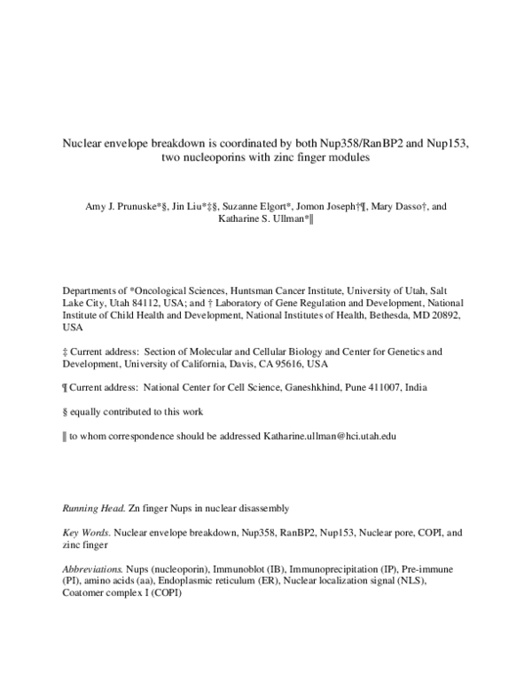 (PDF) Nuclear envelope breakdown is coordinated by both Nup358/RanBP2 ...