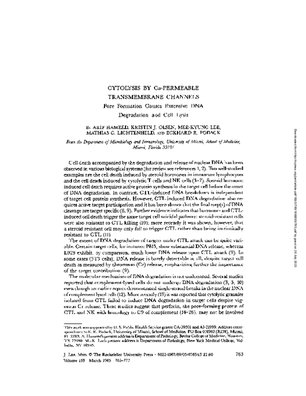 (PDF) Cytolysis by Ca-permeable transmembrane channels. Pore formation ...