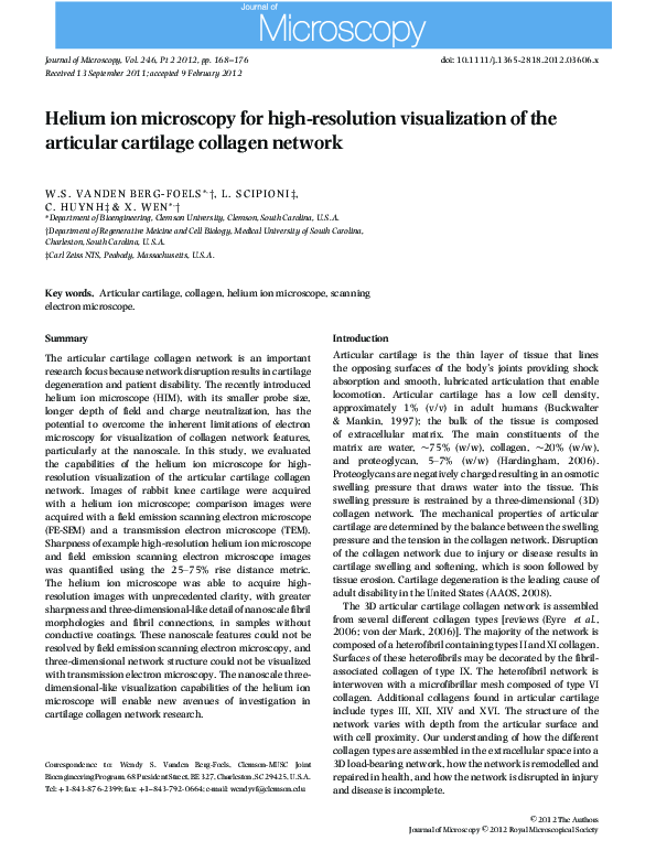 (PDF) Helium ion microscopy for high-resolution visualization of the ...