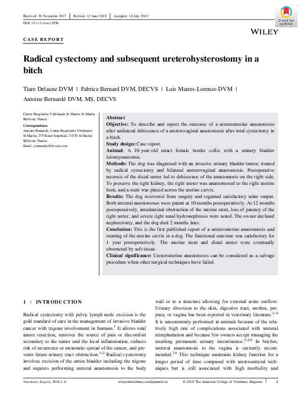 (PDF) Radical cystectomy and subsequent ureterohysterostomy in a bitch