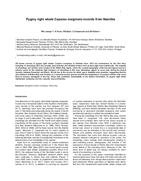 (PDF) Pygmy right whaleCaperea marginatarecords from Namibia