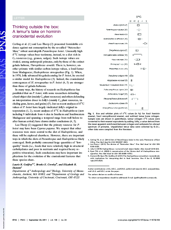 (PDF) Thinking outside the box: A lemur's take on hominin craniodental ...