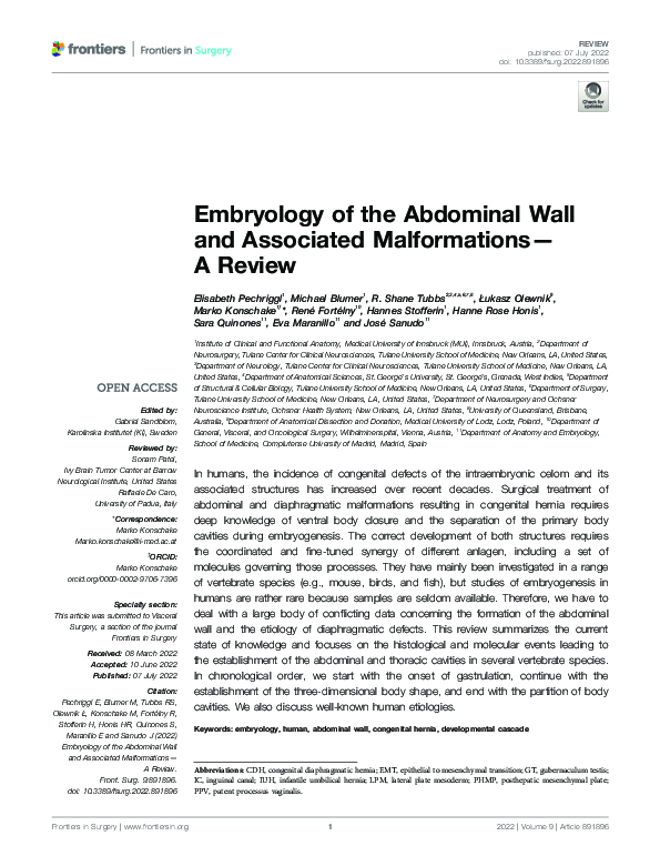 (PDF) Embryology of the Abdominal Wall and Associated Malformations—A ...