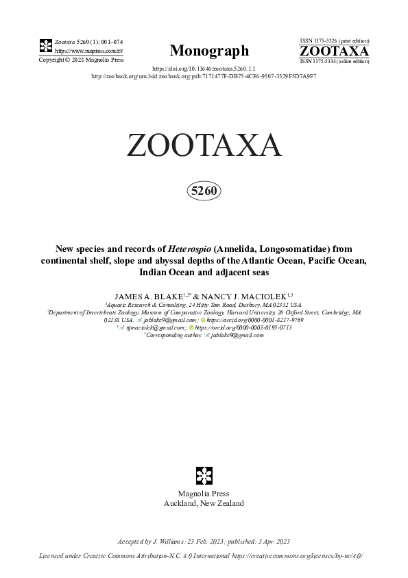 (PDF) New species and records of Heterospio (Annelida, Longosomatidae ...