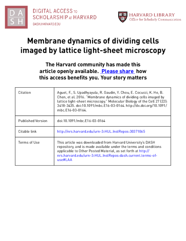 (PDF) Membrane dynamics of dividing cells imaged by lattice light-sheet ...