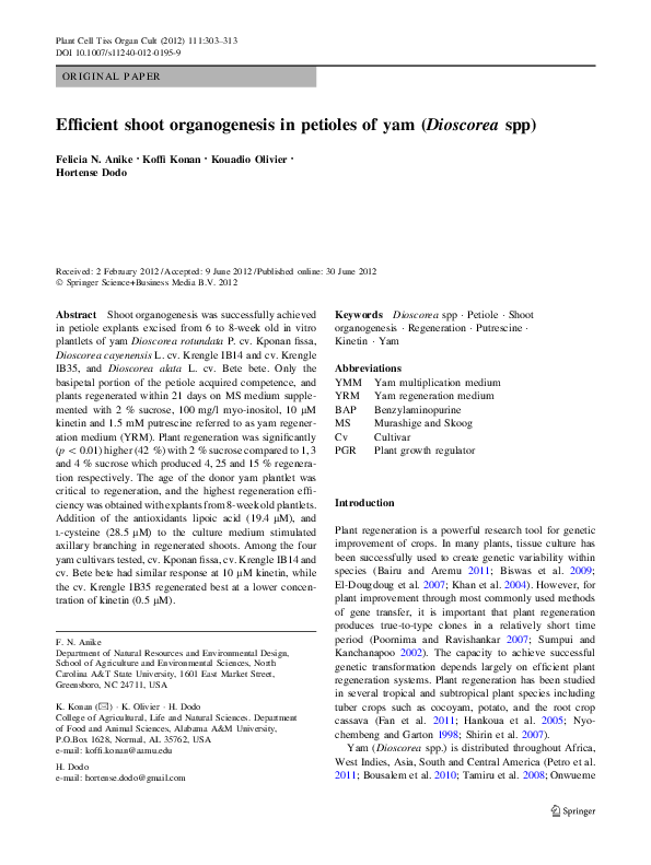 (PDF) Efficient shoot organogenesis in petioles of yam (Dioscorea spp)