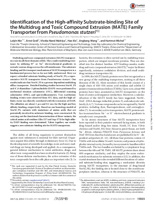 (PDF) Identification of the High-affinity Substrate-binding Site of the ...