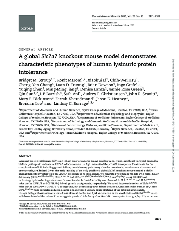 (PDF) A global Slc7a7 knockout mouse model demonstrates characteristic ...