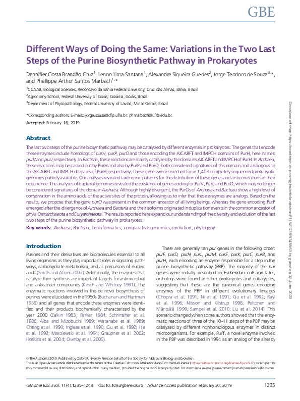 (PDF) Different Ways of Doing the Same: Variations in the Two Last ...