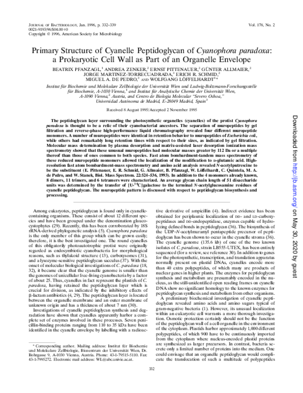 (PDF) Primary structure of cyanelle peptidoglycan of Cyanophora ...
