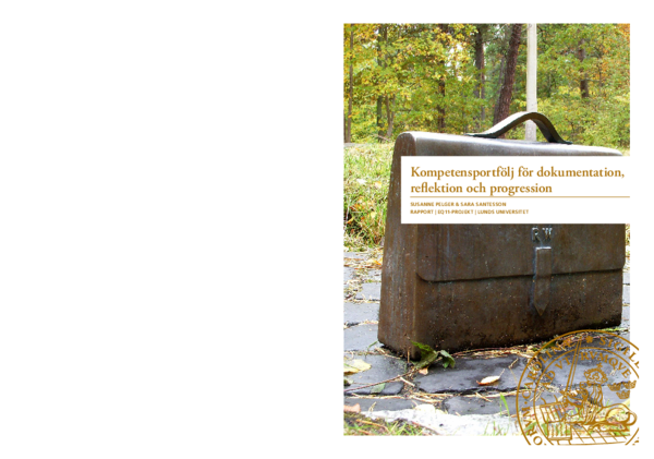 (PDF) Kompetensportfölj för dokumentation, reflektion och progression