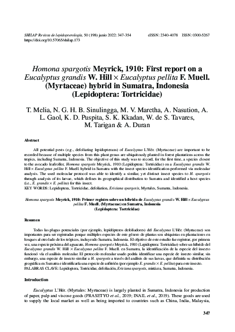 (PDF) Homona spargotis Meyrick, 1910: First report on a Eucalyptus ...