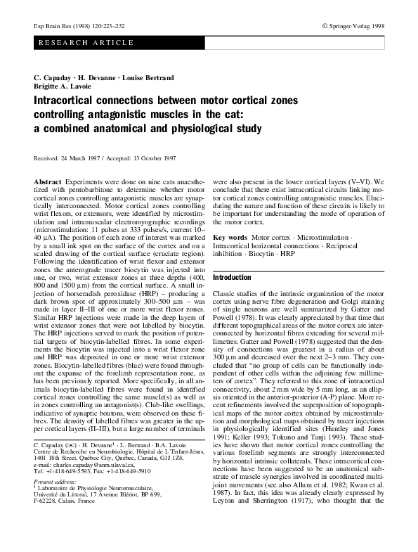 (PDF) Intracortical connections between motor cortical zones ...