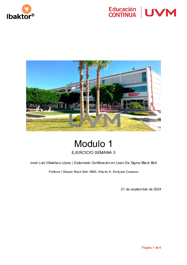 (PDF) Modulo 1 Ejercicio Semana 3 Introducción a LEAN/ 6 SIGMA
