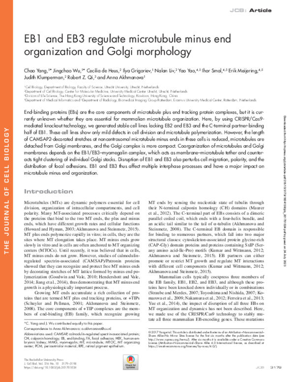 (PDF) EB1 and EB3 regulate microtubule minus end organization and Golgi ...