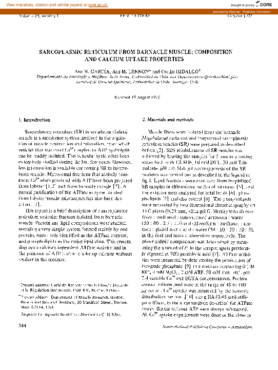 (PDF) Sarcoplasmic reticulum from barnacle muscle; composition and ...