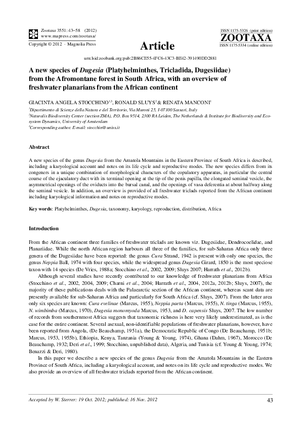 (PDF) A new species of Dugesia (Platyhelminthes, Tricladida, Dugesiidae ...