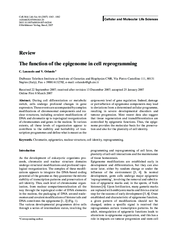 (PDF) The function of the epigenome in cell reprogramming