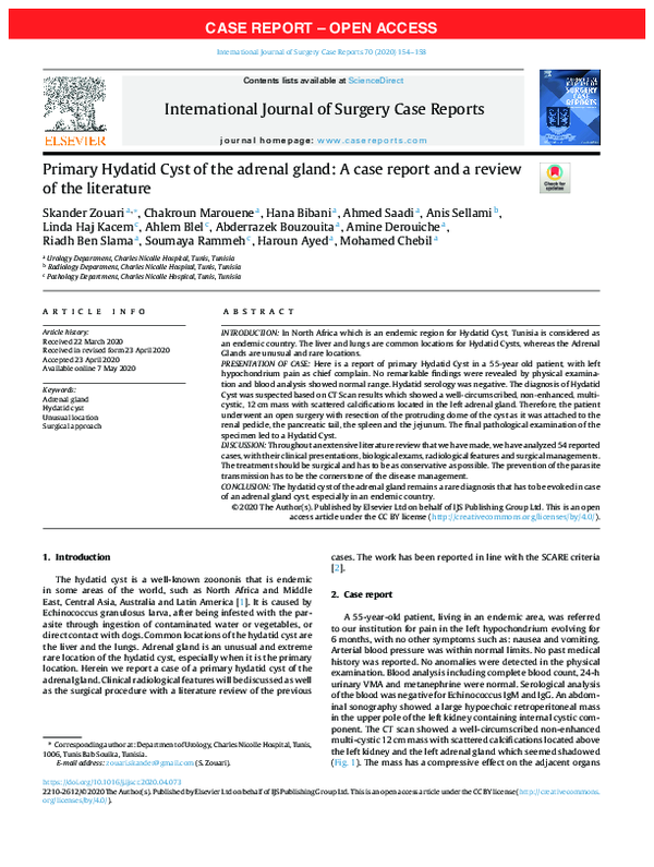 (PDF) Primary Hydatid Cyst of the adrenal gland: A case report and a review of the literature