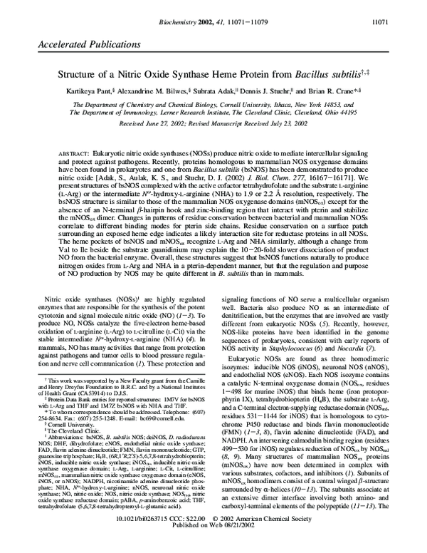 (PDF) Structure of a Nitric Oxide Synthase Heme Protein from Bacillus ...