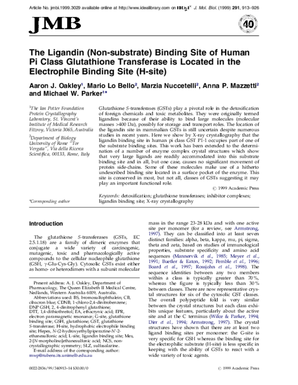 (PDF) The ligandin (non-substrate) binding site of human pi class ...