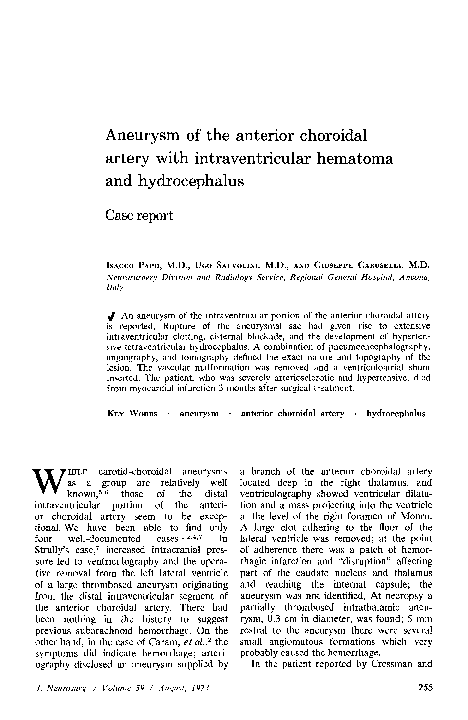 (PDF) Aneurysm of the anterior choroidal artery with intraventricular ...