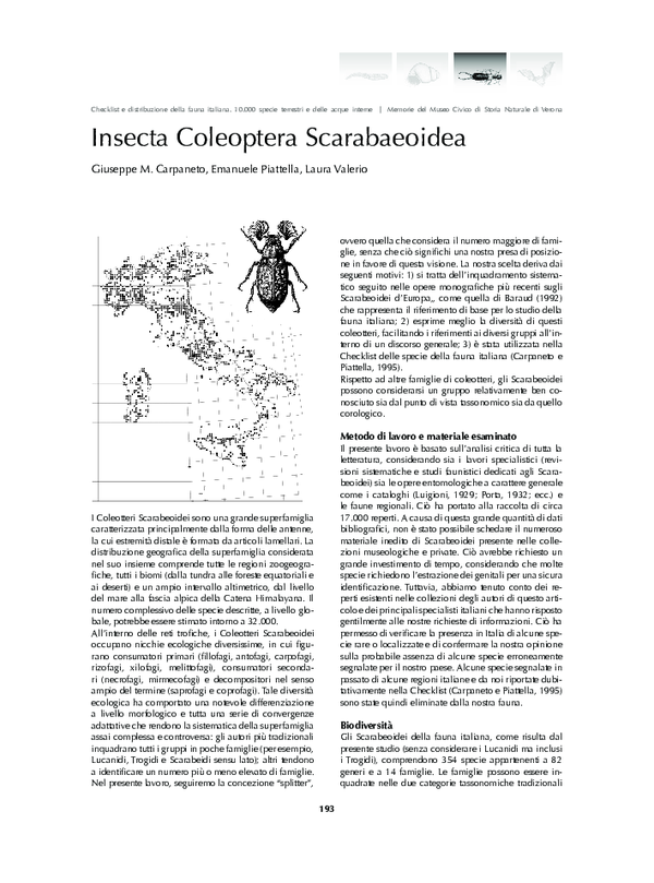 (PDF) Insecta Coleoptera Scarabaeoidea