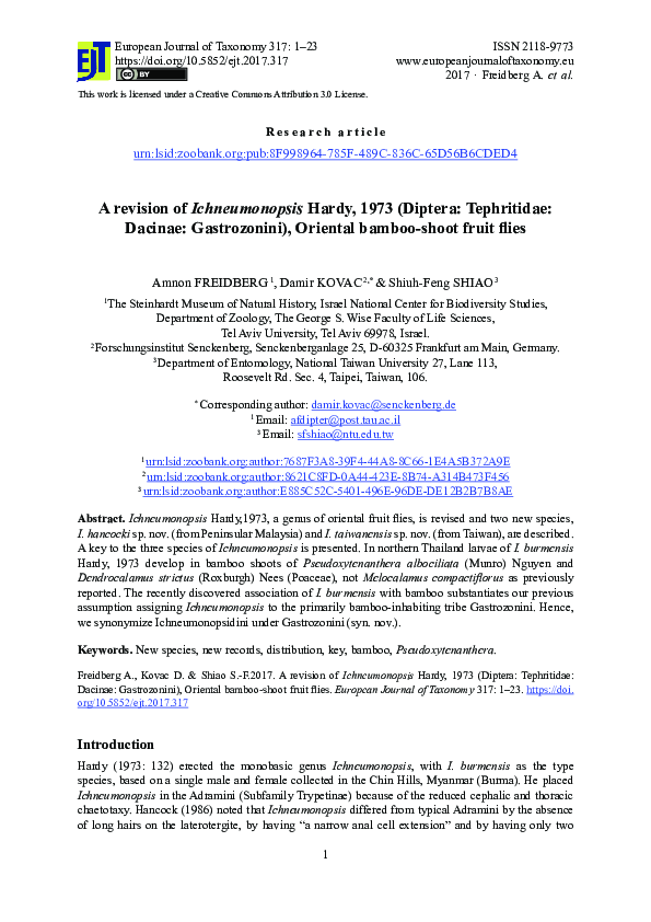(PDF) A revision of Ichneumonopsis Hardy, 1973 (Diptera: Tephritidae ...