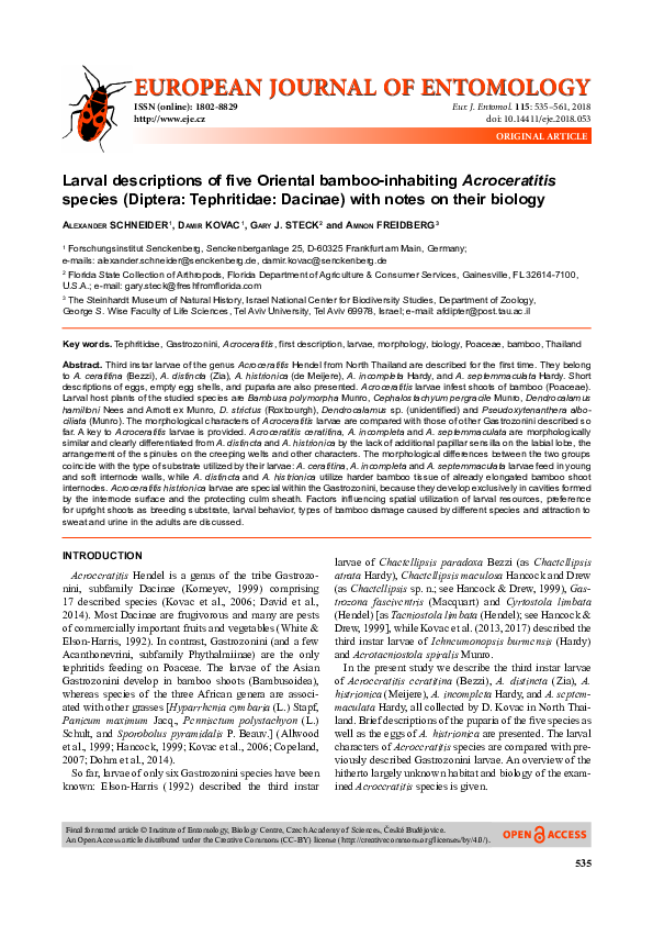 (PDF) Larval descriptions of five Oriental bamboo-inhabiting ...