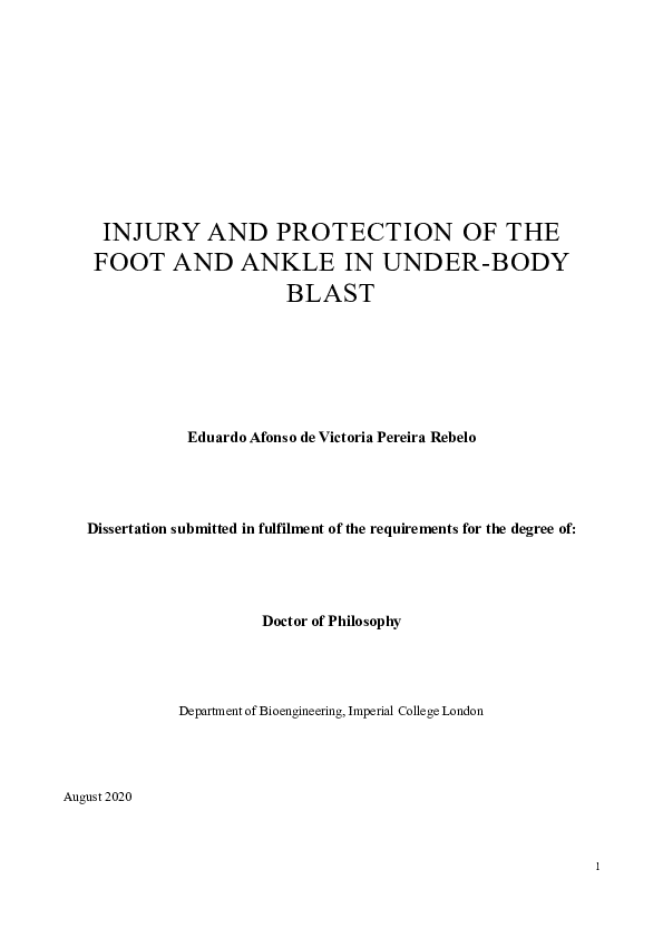 (PDF) Injury and protection of the foot and ankle in under-body blast