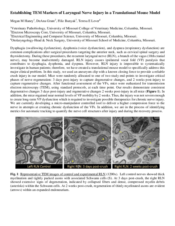 (PDF) Establishing TEM Markers of Laryngeal Nerve Injury in a ...