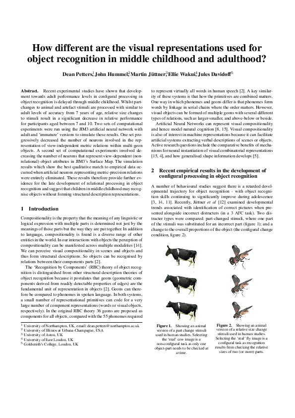 (PDF) How different are the visual representations used for object ...