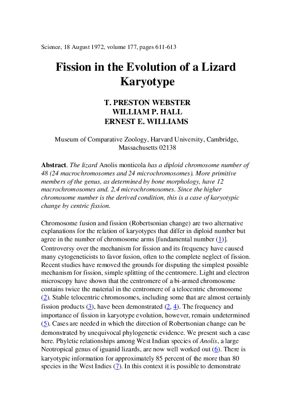 (PDF) Fission in the Evolution of a Lizard Karyotype