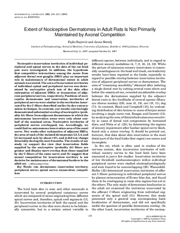 (PDF) Extent of Nociceptive Dermatomes in Adult Rats Is Not Primarily ...