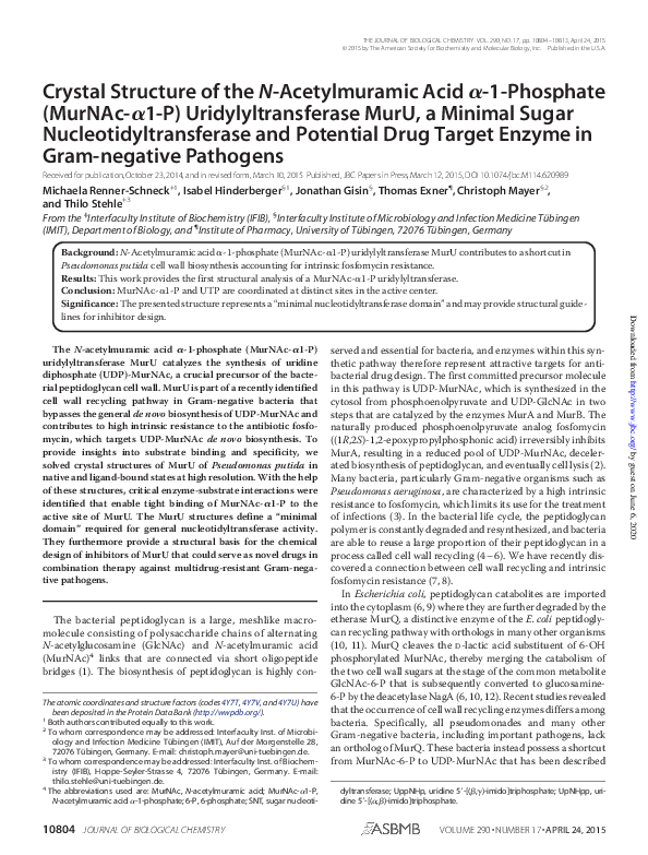 (PDF) Crystal Structure of the N-Acetylmuramic Acid α-1-Phosphate ...